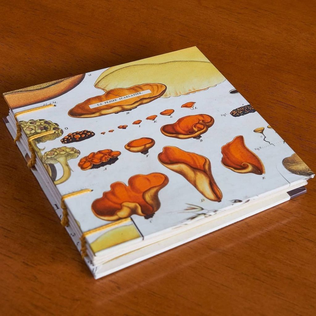 Libreta – Mercado Cul