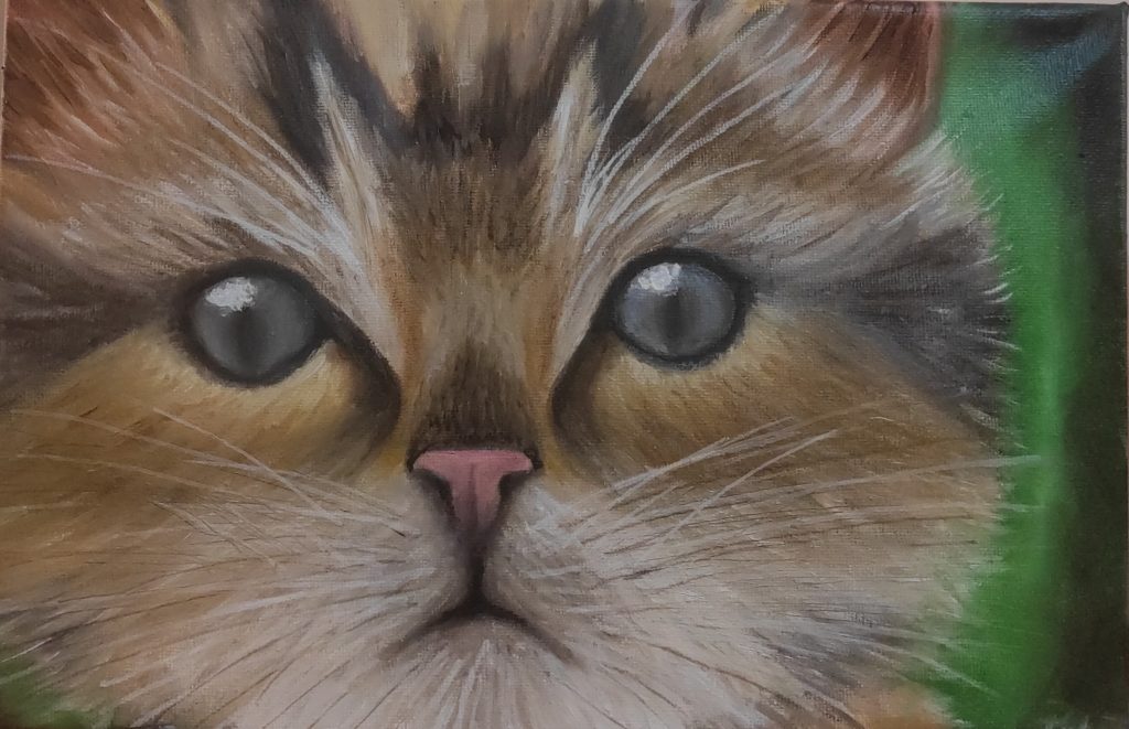 Gato – Mercado Cul