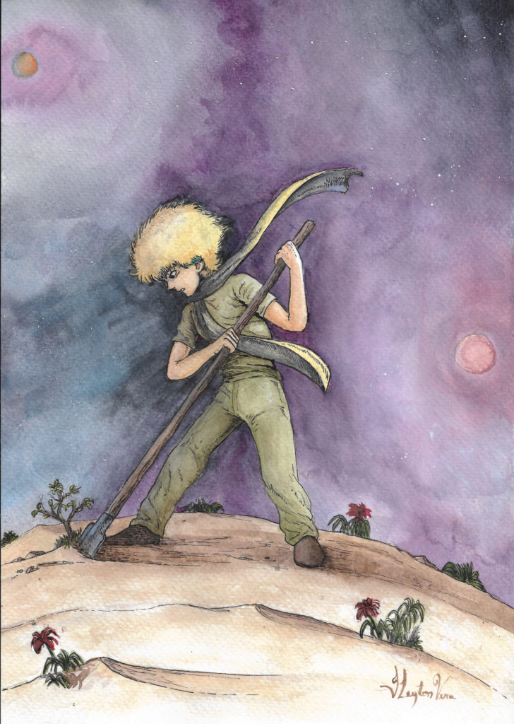 Ilustración y diseño – Mercado Cul